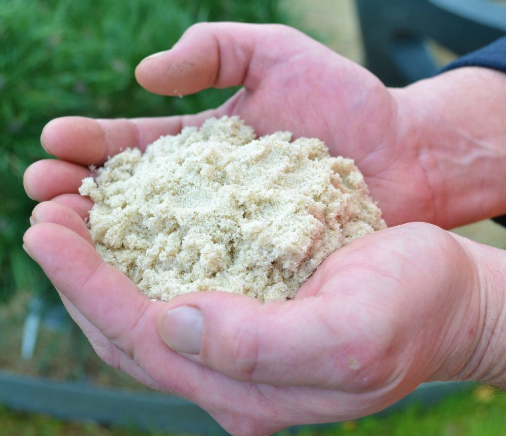 Sable blanc des Iles – Lemée & fils